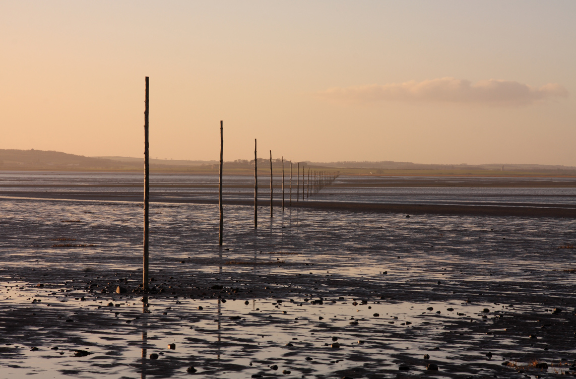 Insula Sacra for #26Postcodes – mandy lee